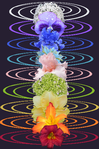 Avis Fréquence 777 d'Alex Michel - Mental Waves